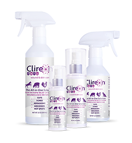 Rabbit Wound Care Solutions | Learn How To Clean a Rabbit Wound and Tr ...